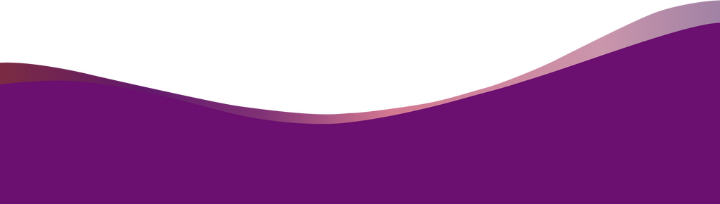 Gender Links | Public Eye Witness