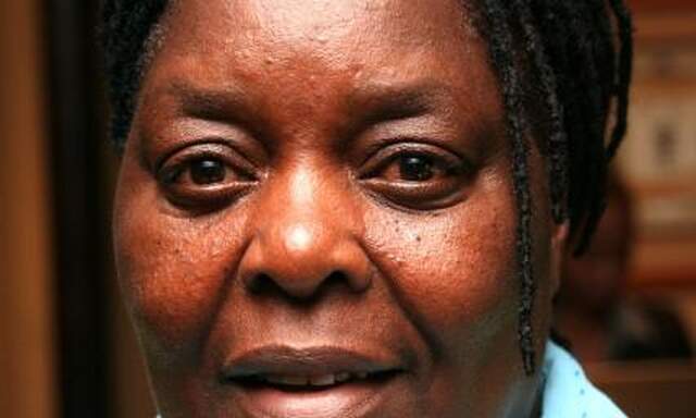 Southern Africa Gender Protocol Alliance | Melania Mandeya - Zimbabwe